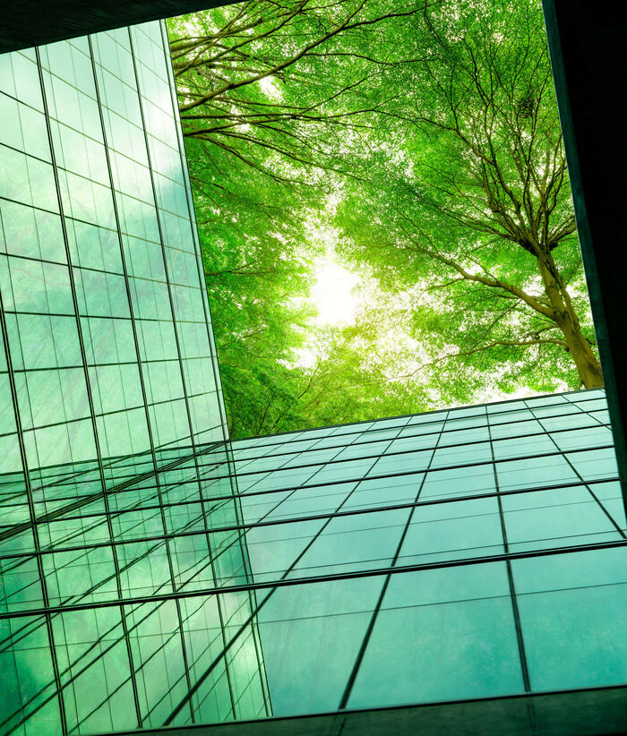 Sustainable digitalization for business | T Business Sustainable digitalization for business | T Business